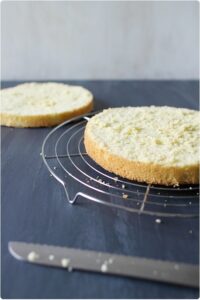 Gâteau léger au caramel et aux fruits rouges - chefNini