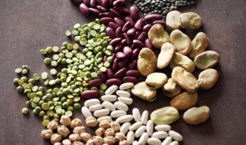 Fiches produits - chefNini