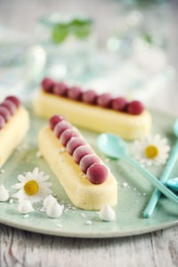 Vacherin glacé express et coulis fruits rouges - chefNini